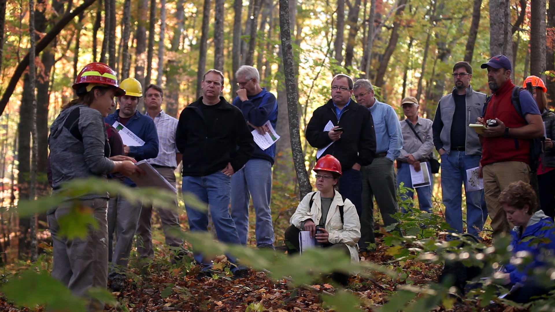 Forest Allies Member Responsibilities & Benefits | Rainforest Alliance ...