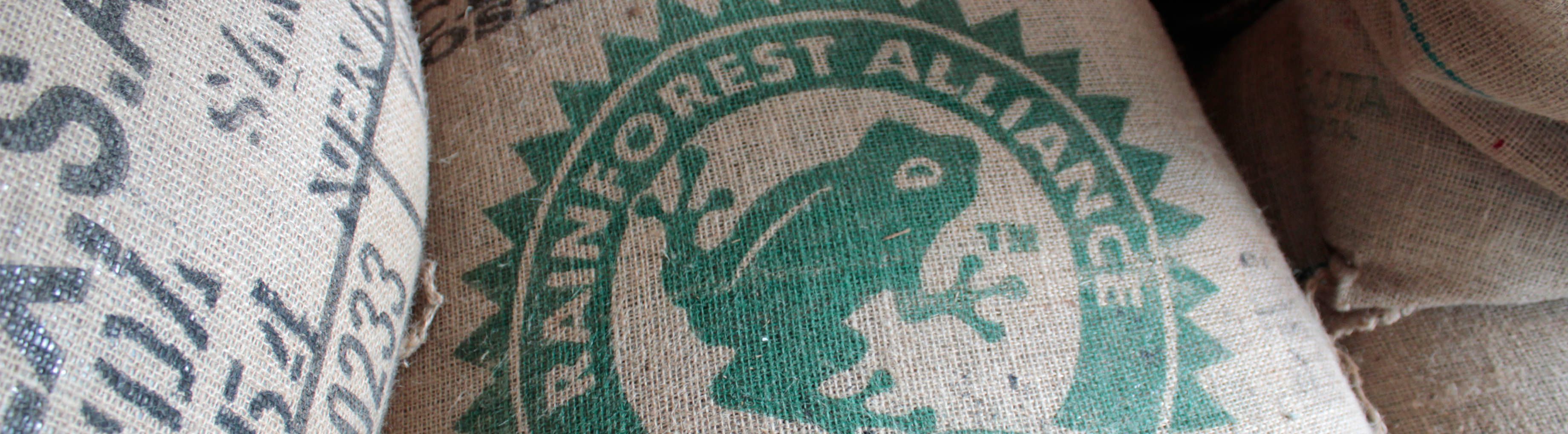 Sustainable Agriculture Certification | Rainforest Alliance