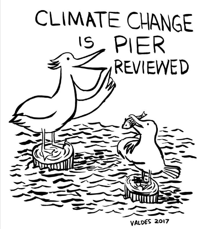 Everyday actions | Rainforest Alliance