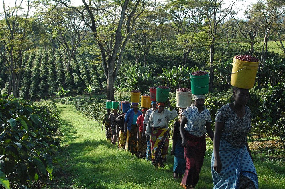 Driving Better Livelihoods: Why the Fight for a Living Wage and Income ...