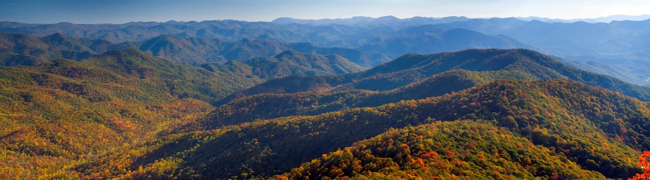 Project Profile: Appalachian Woodlands Alliance | Rainforest Alliance