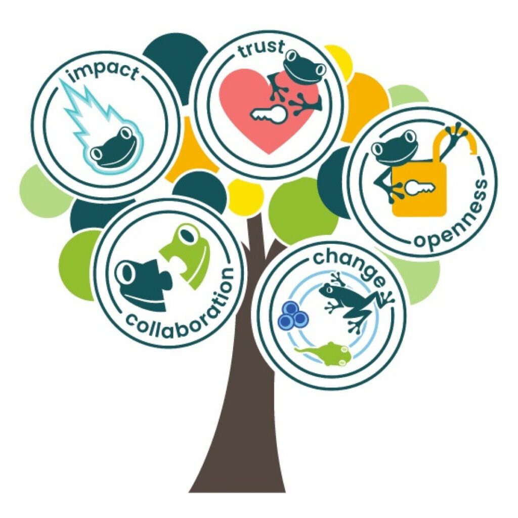 About | Rainforest Alliance About | Rainforest Alliance