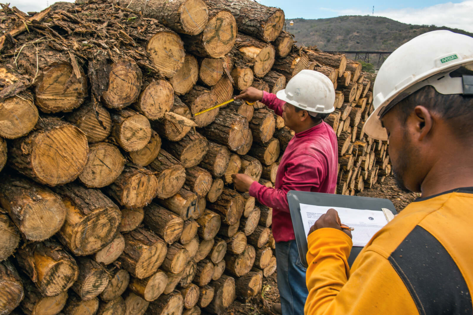 Our Focus on Integrated Community Forest Management | Rainforest Alliance