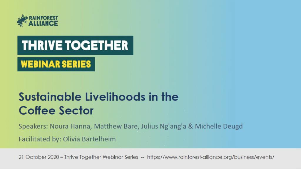 Living income Archives | Page 2 of 3 | Rainforest Alliance