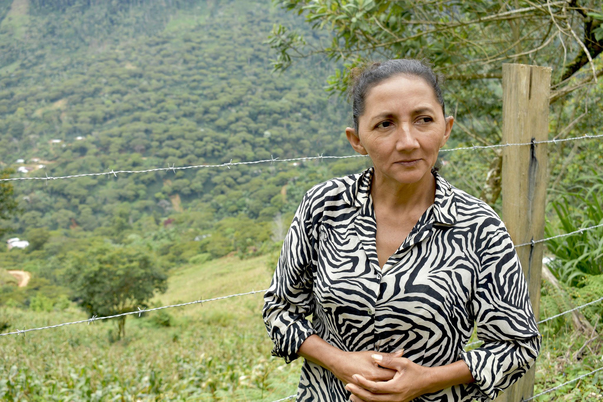 The Refugee Caravan: A Coffee Worker Who Stayed Behind | Rainforest ...