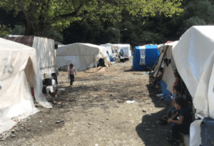 Tackling Child Labor on Türkiye Hazelnut Farms