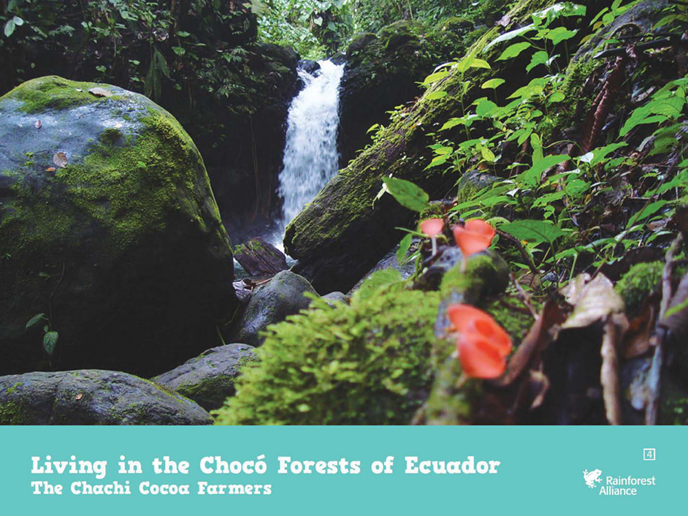 Kids Archives | Page 2 of 4 | Rainforest Alliance