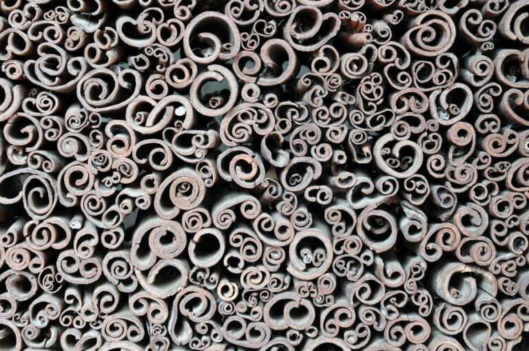 7 Everyday Foods from the Rainforest | Rainforest Alliance