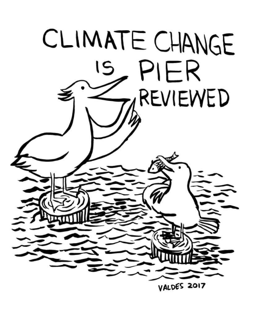 Climate Archives | Page 20 of 27 | Rainforest Alliance