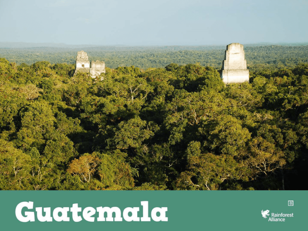 Rainforest Stories Archives | Rainforest Alliance