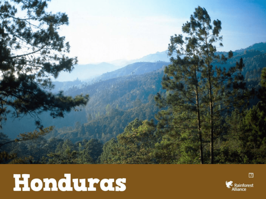 Kids Archives | Page 2 of 4 | Rainforest Alliance