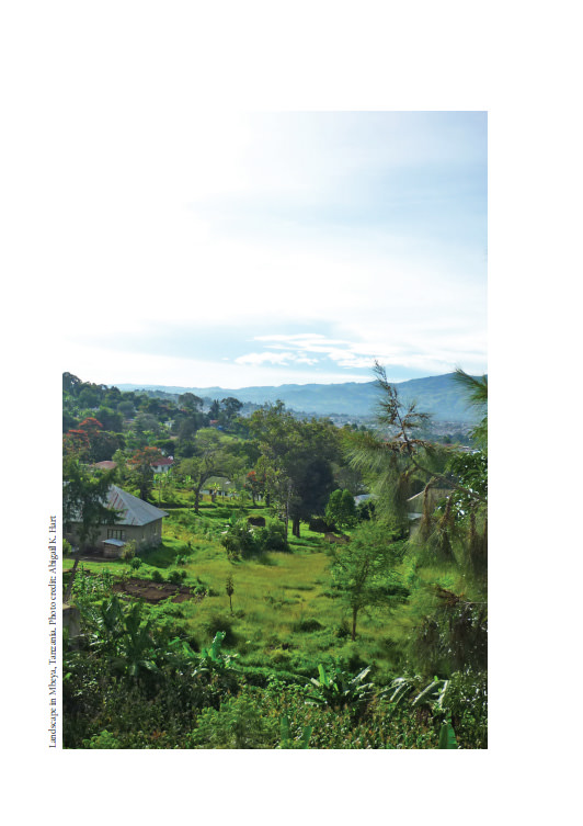 Integrated Landscape Initiatives in Practice: Assessing Experiences ...