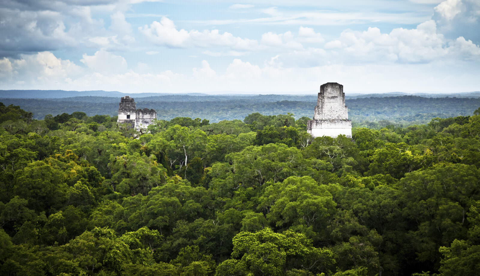 Community: The Secret to Stopping Deforestation in Guatemala ...