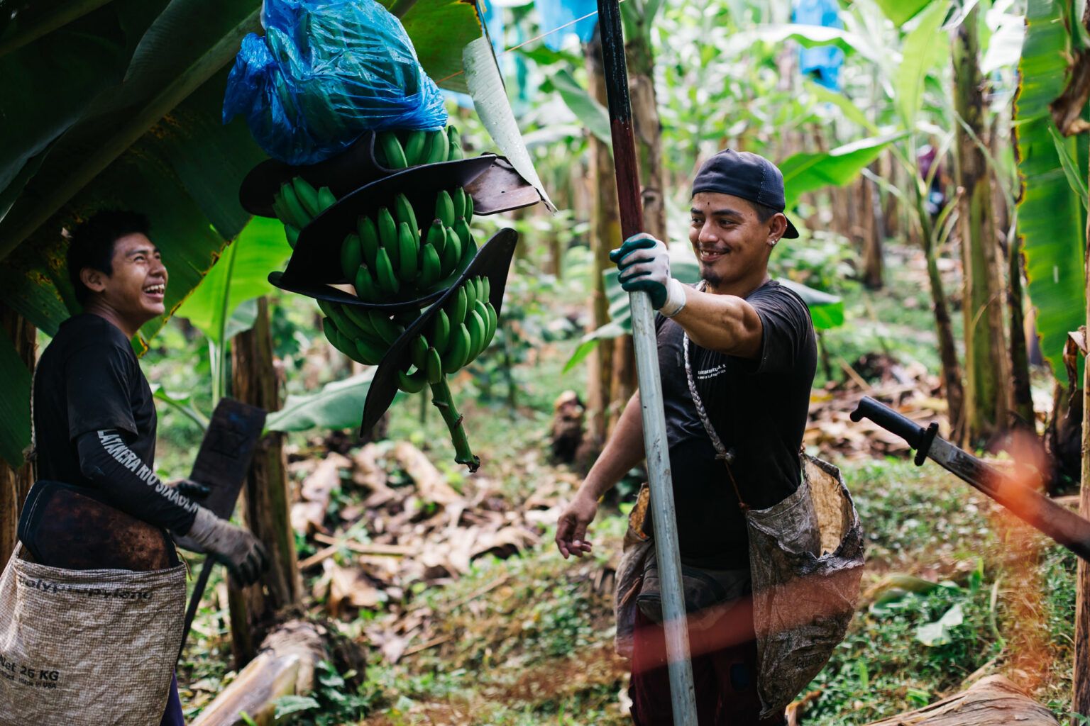 Human rights Archives | Rainforest Alliance