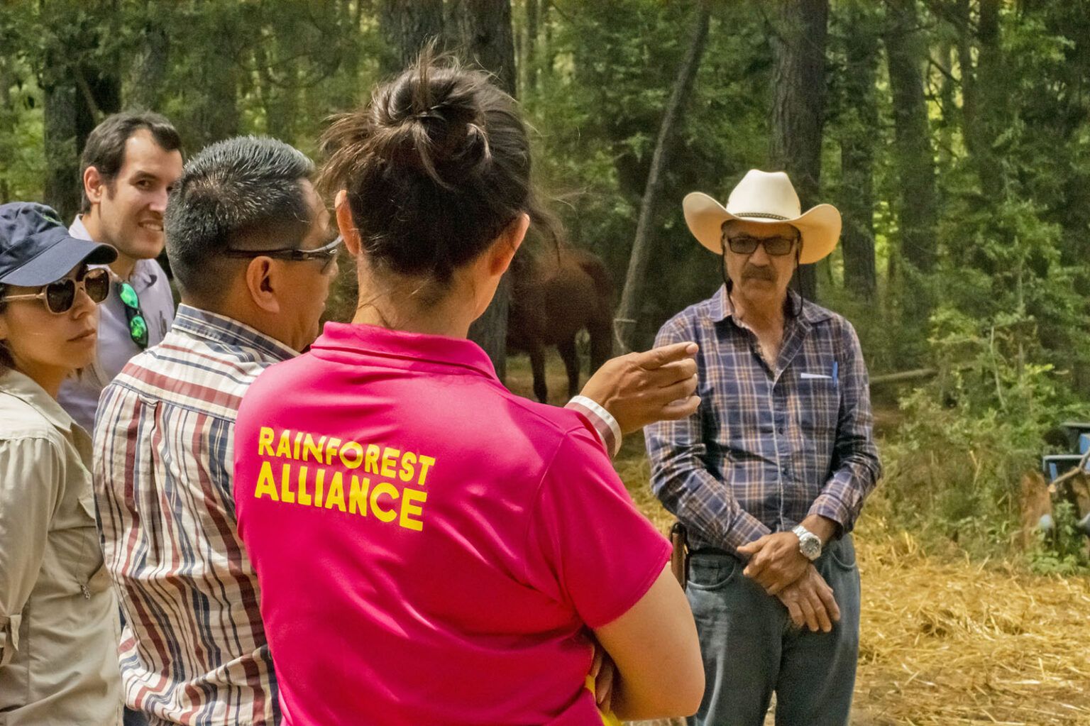 Sustainability at Scale: How LandScale Can Support Your Company's ...