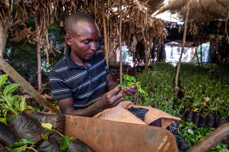 Project Profile: Mount Kenya Sustainable Landscape and Livelihoods ...