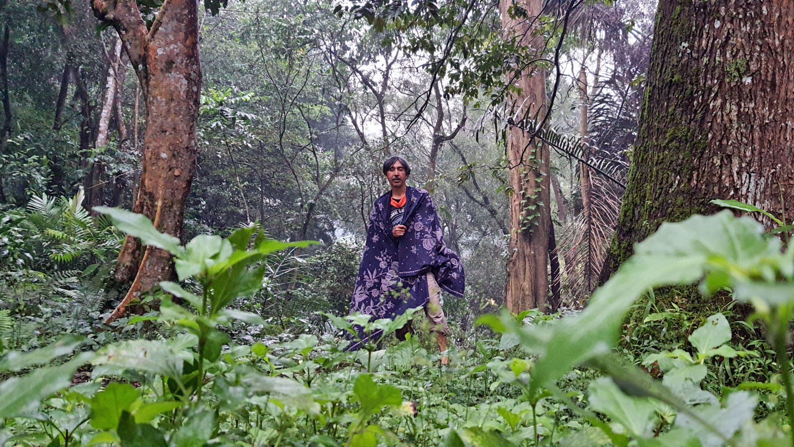 An Indonesian Farmer Harnesses the Healing Power of Trees through ...