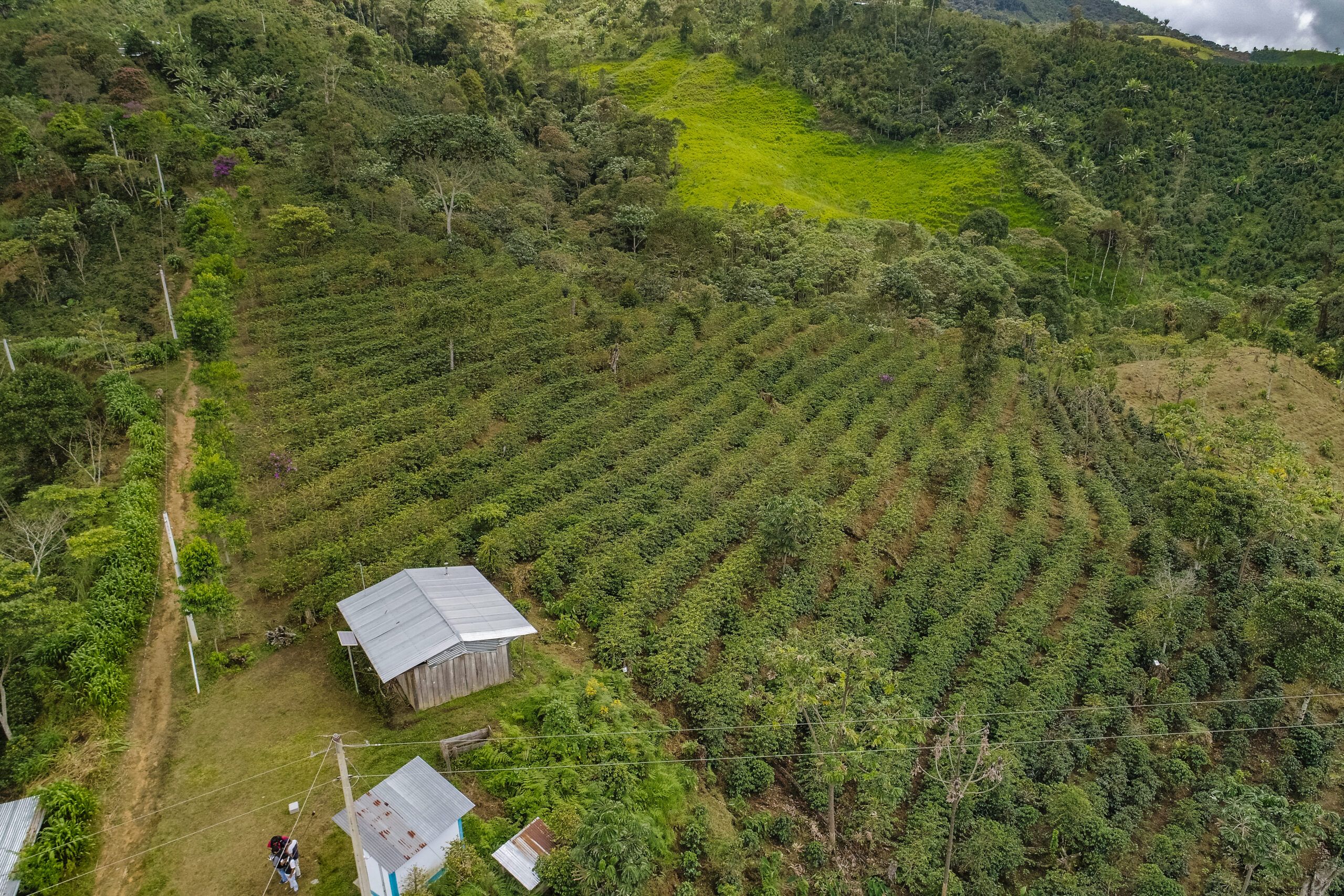 El manejo integral del paisaje para escalar modelos sostenibles
