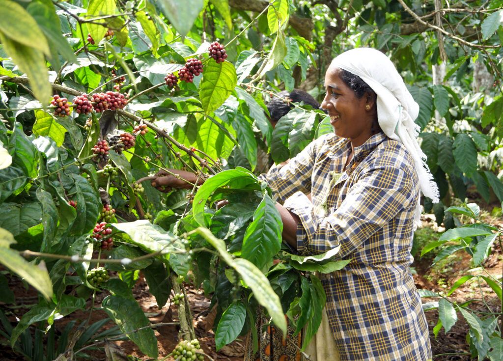 Learn | Rainforest Alliance