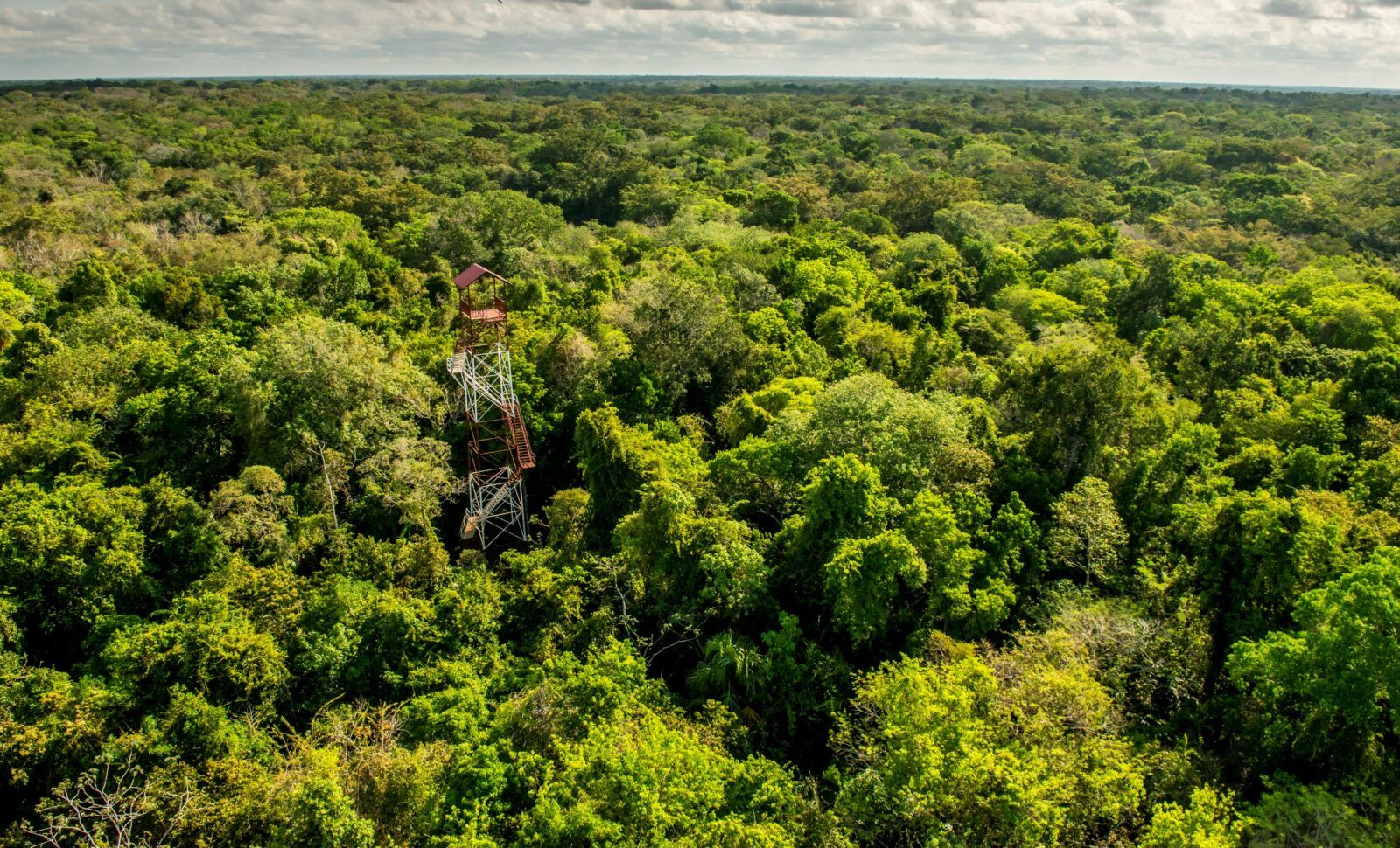 How to Prevent Forest Fires | Rainforest Alliance