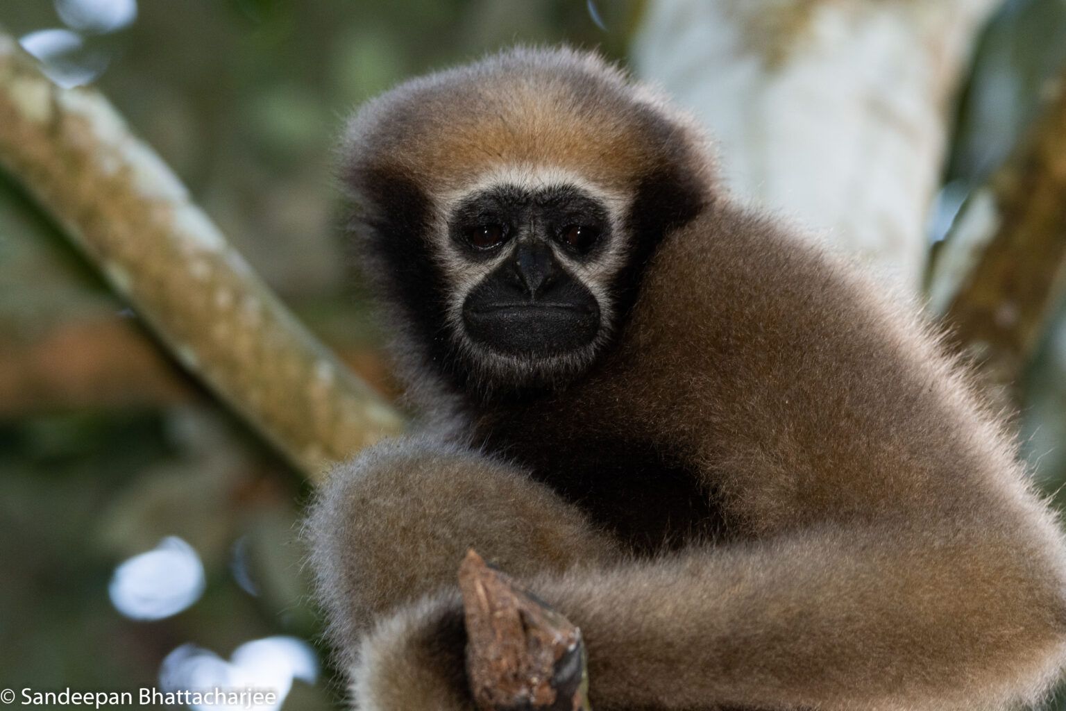 Where Wildlife and Farming Thrive Together: A Photo Essay | Rainforest Alliance