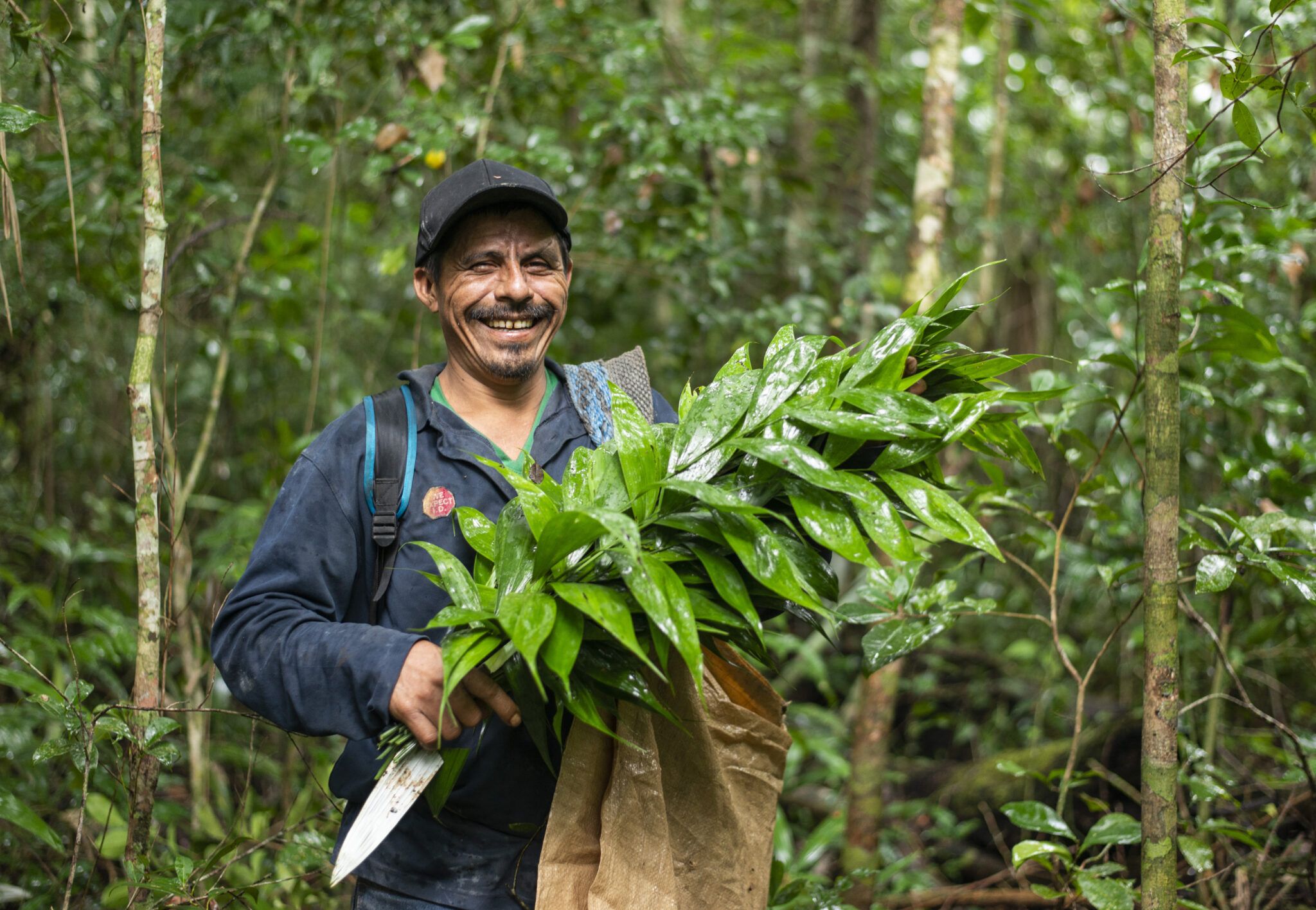 La Selva Maya: dos ejemplos escalables de manejo forestal comunitario ...