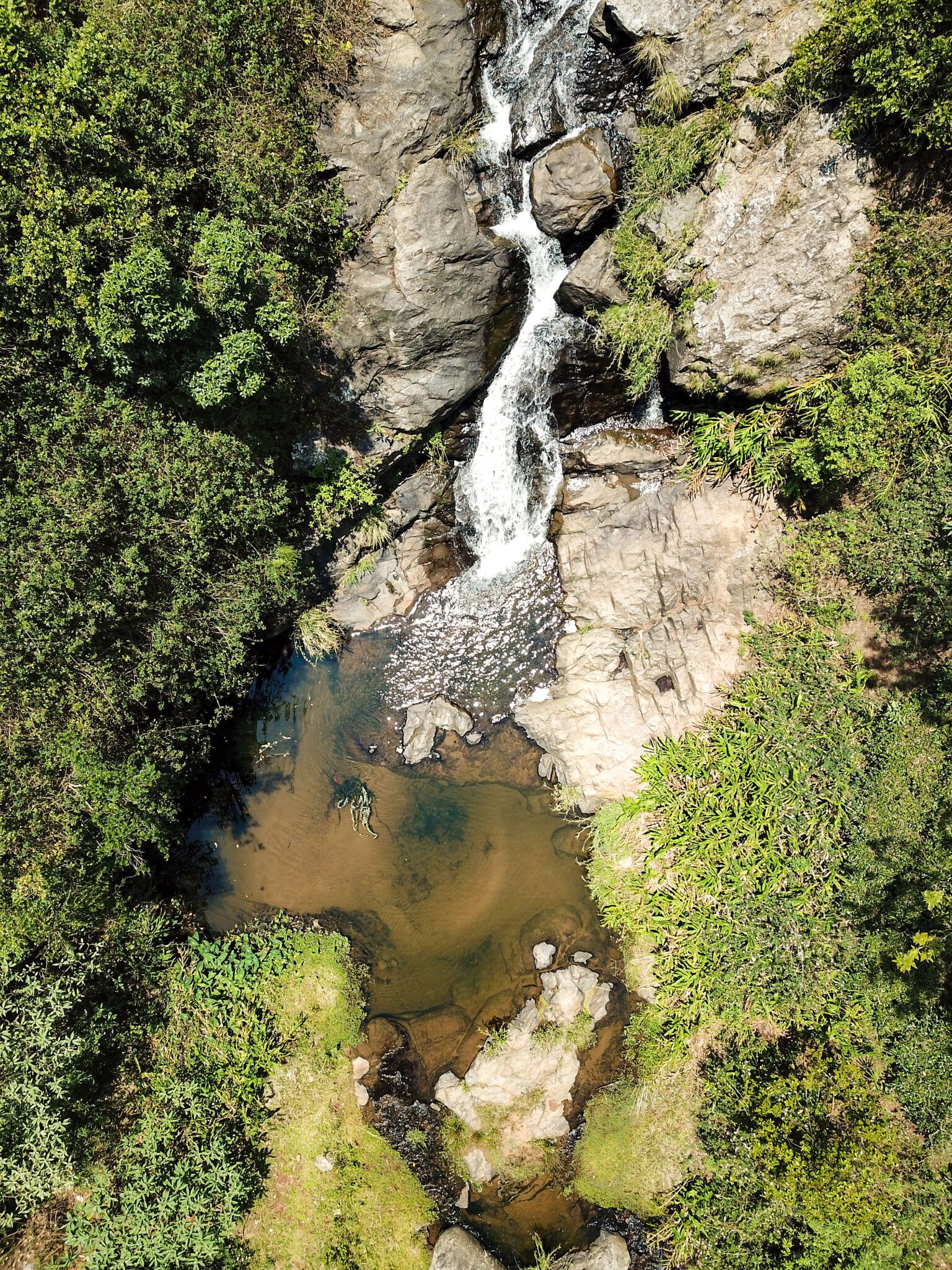 A Practical Guide to Reduce Your Carbon Footprint | Rainforest Alliance