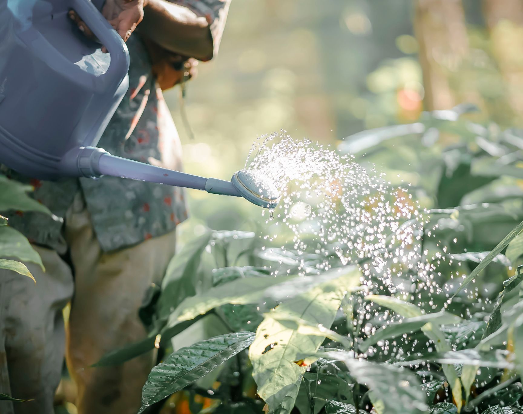 Rainforest Alliance 2022 Annual Report