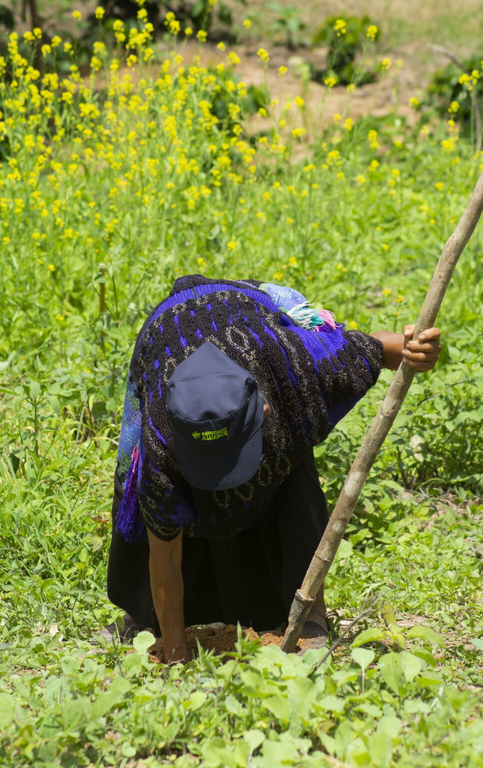 The Indigenous Roots of Regenerative Agriculture
