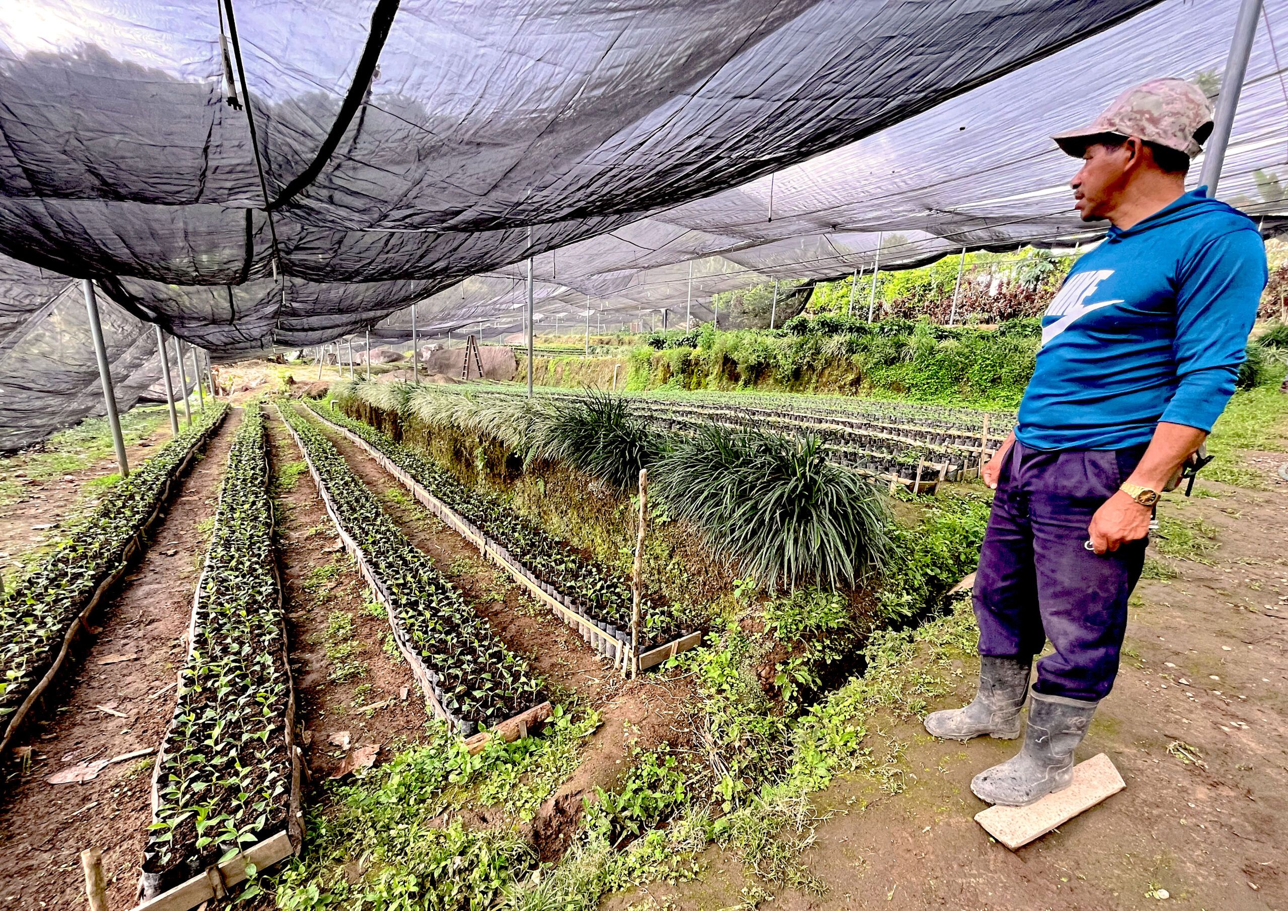 What’s It Like to Work on a Rainforest Alliance Certified Coffee Farm ...