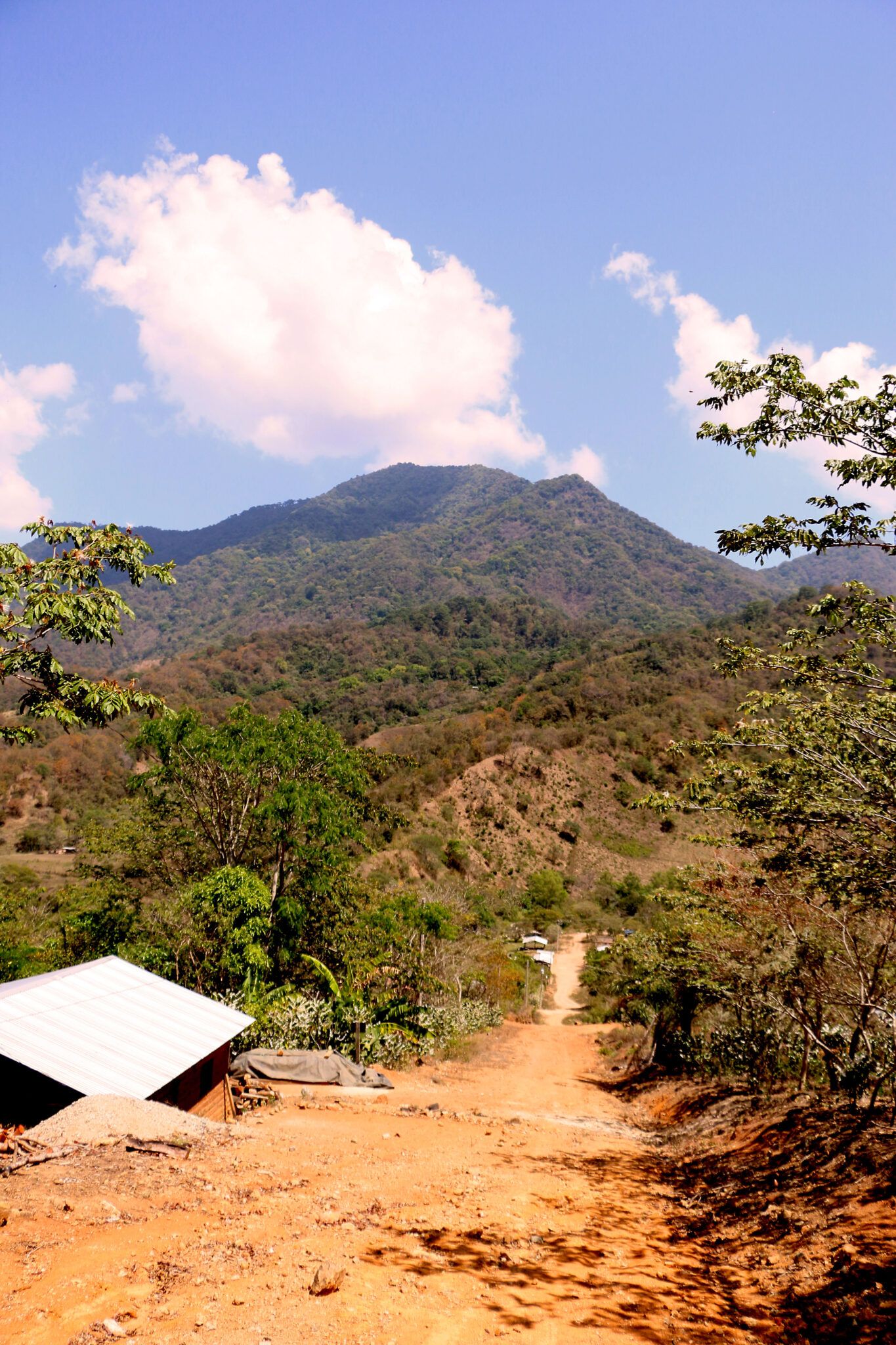 An Indigenous Community Finds a New Home—and Restores a Landscape ...