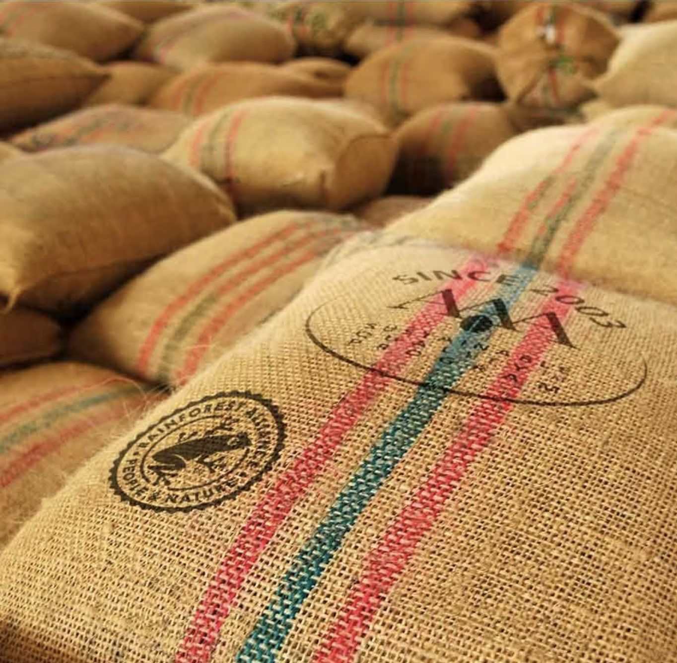 Our Coffee Journey With Nespresso | Rainforest Alliance