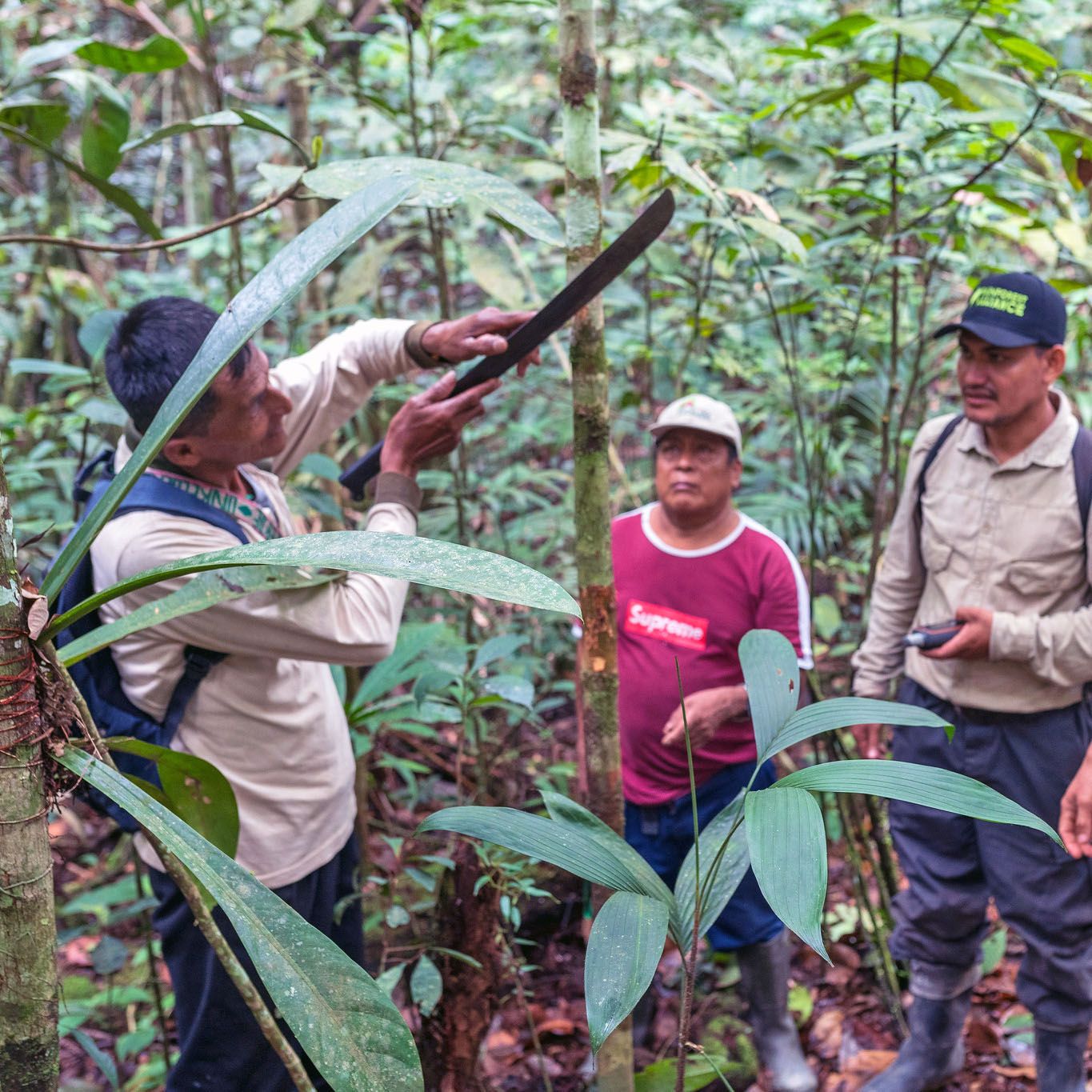 Home | Rainforest Alliance