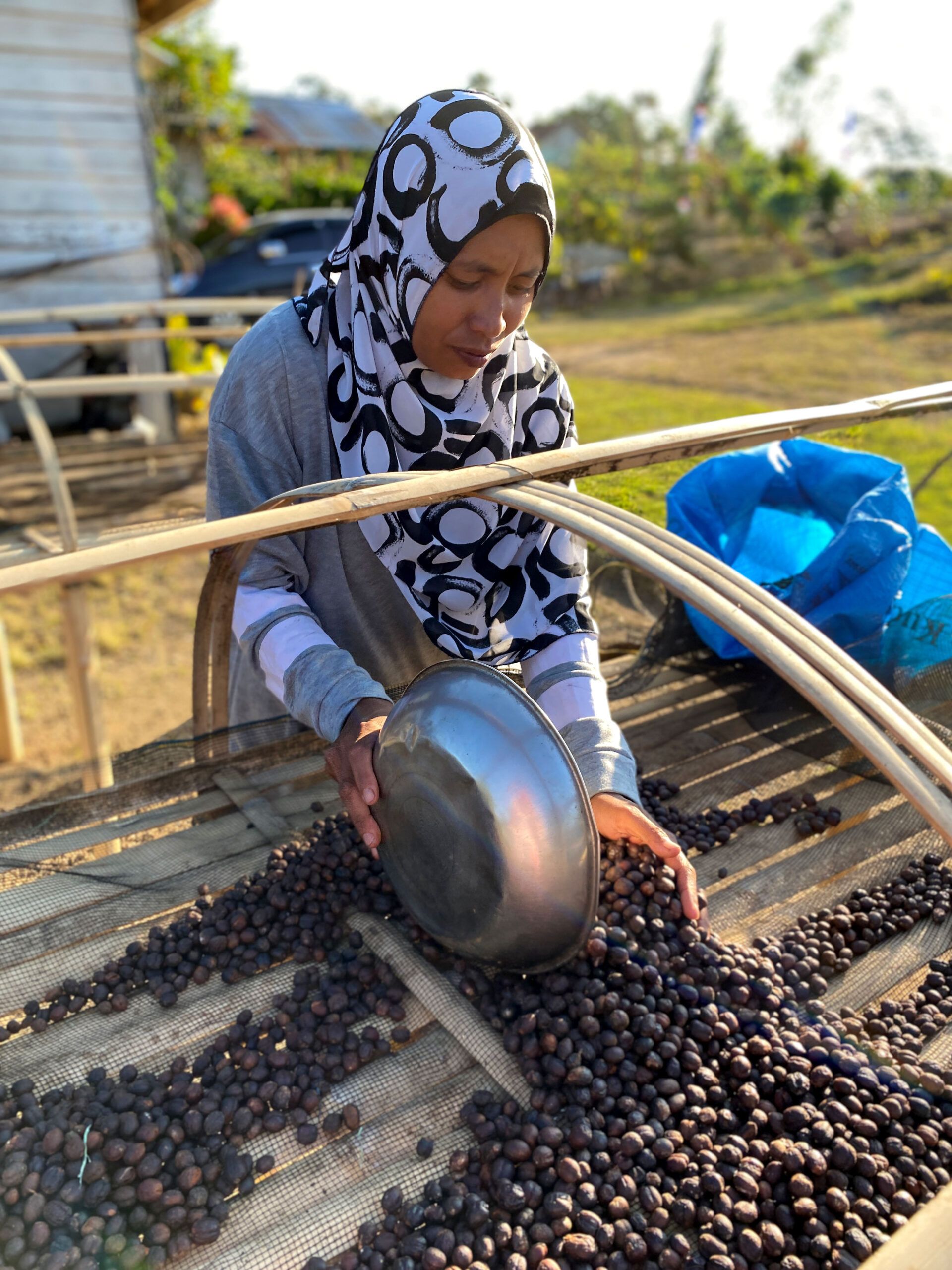 Project Profile: Building a More Inclusive Coffee Sector in Central ...
