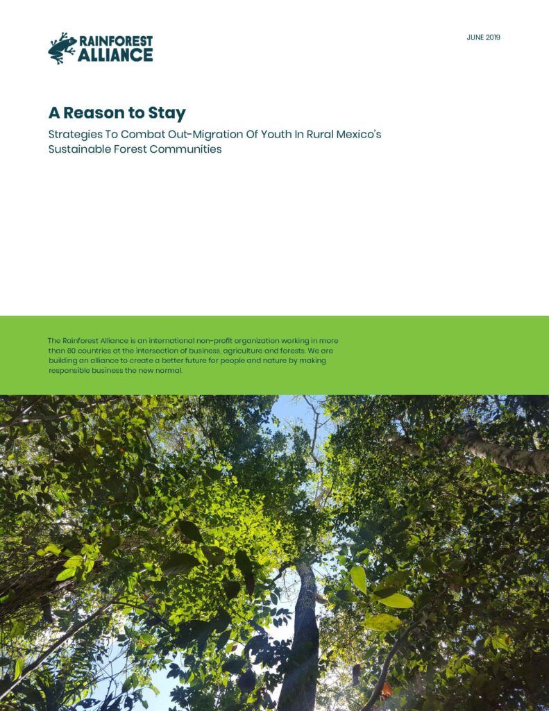 Forests & Biodiversity Archives | Rainforest Alliance