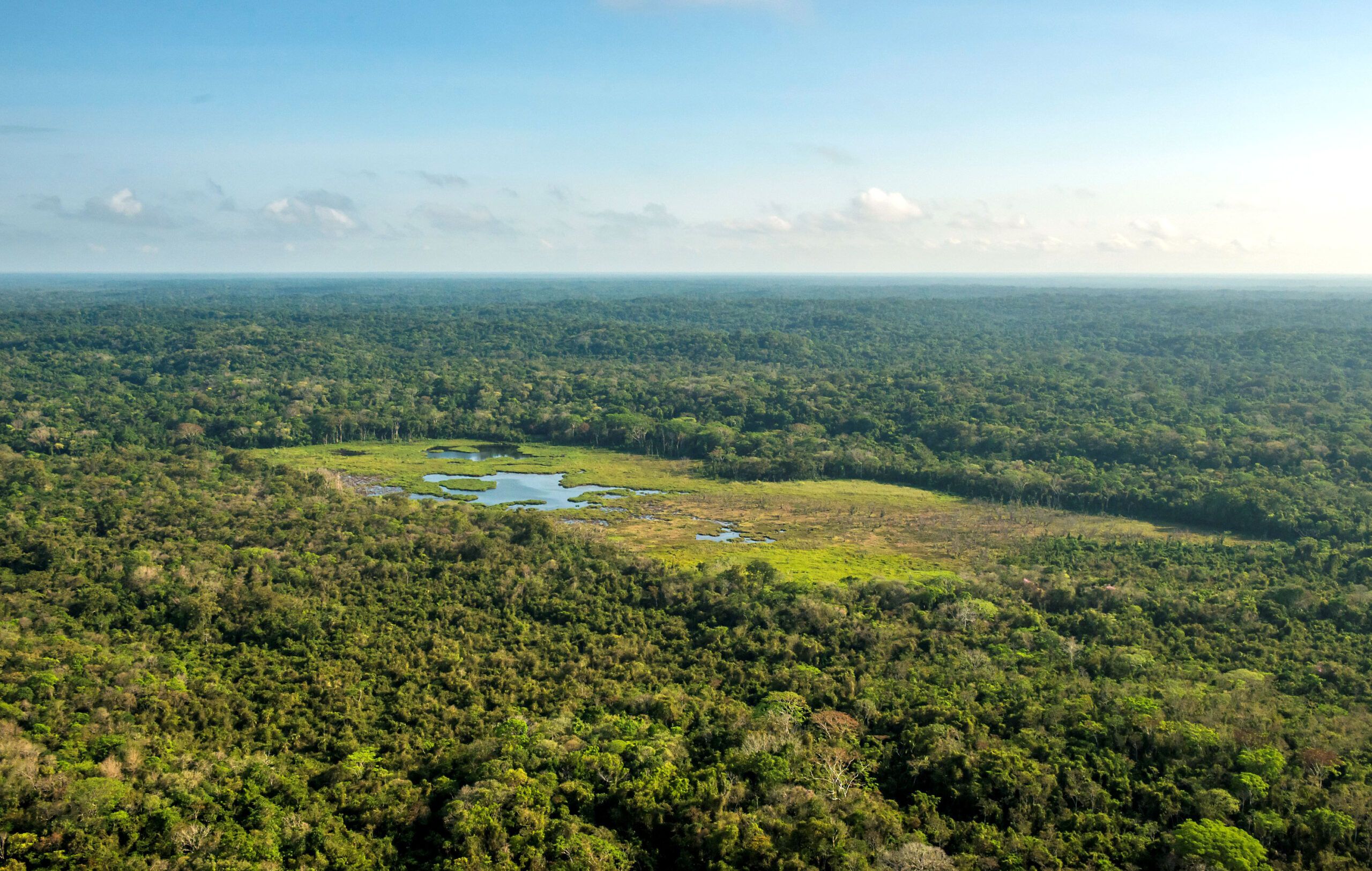Chứng nhận Rainforest Alliance hỗ trợ cho các đơn vị trang trại đến nhà ...