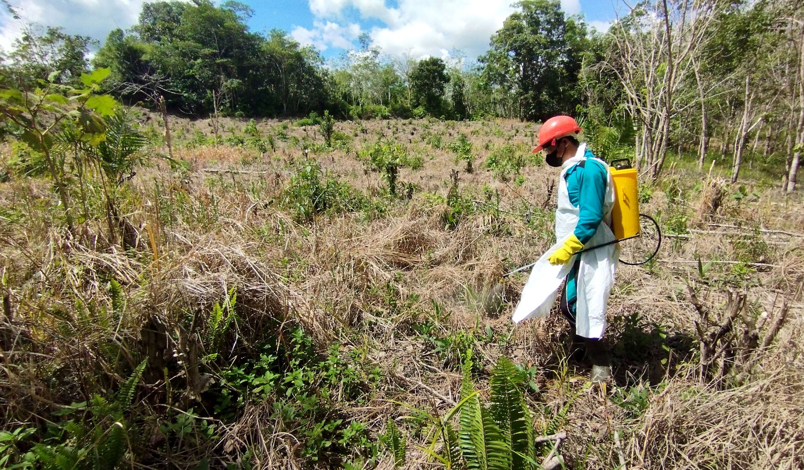 Project Profile: Tackling Deforestation and Improving Farmers ...