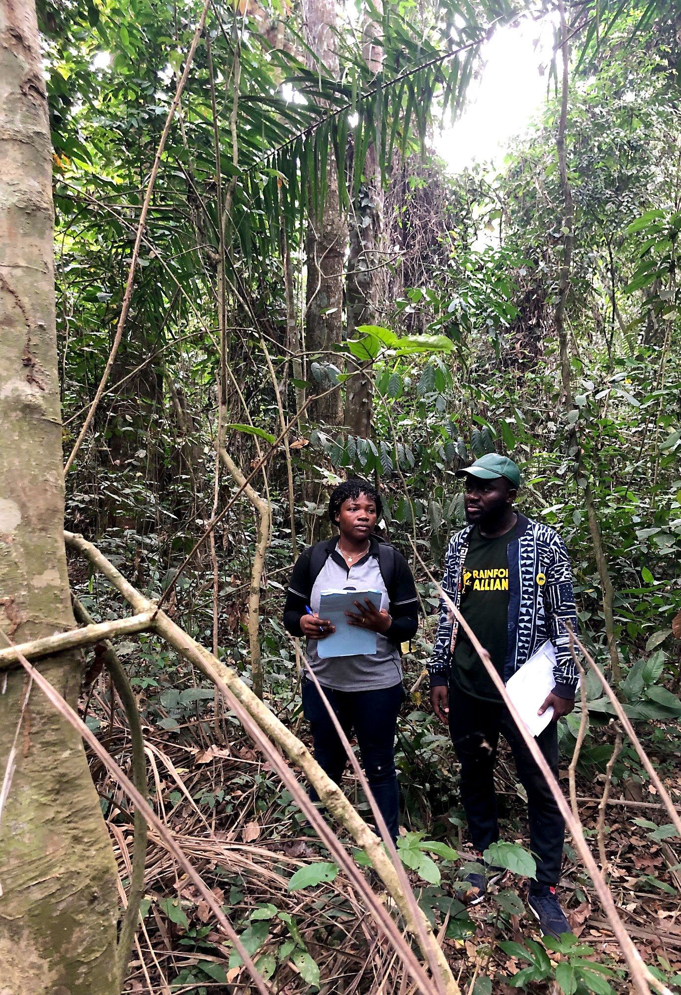 Measuring Biodiversity and Carbon Storage in Cameroon’s Community Forests | Rainforest Alliance