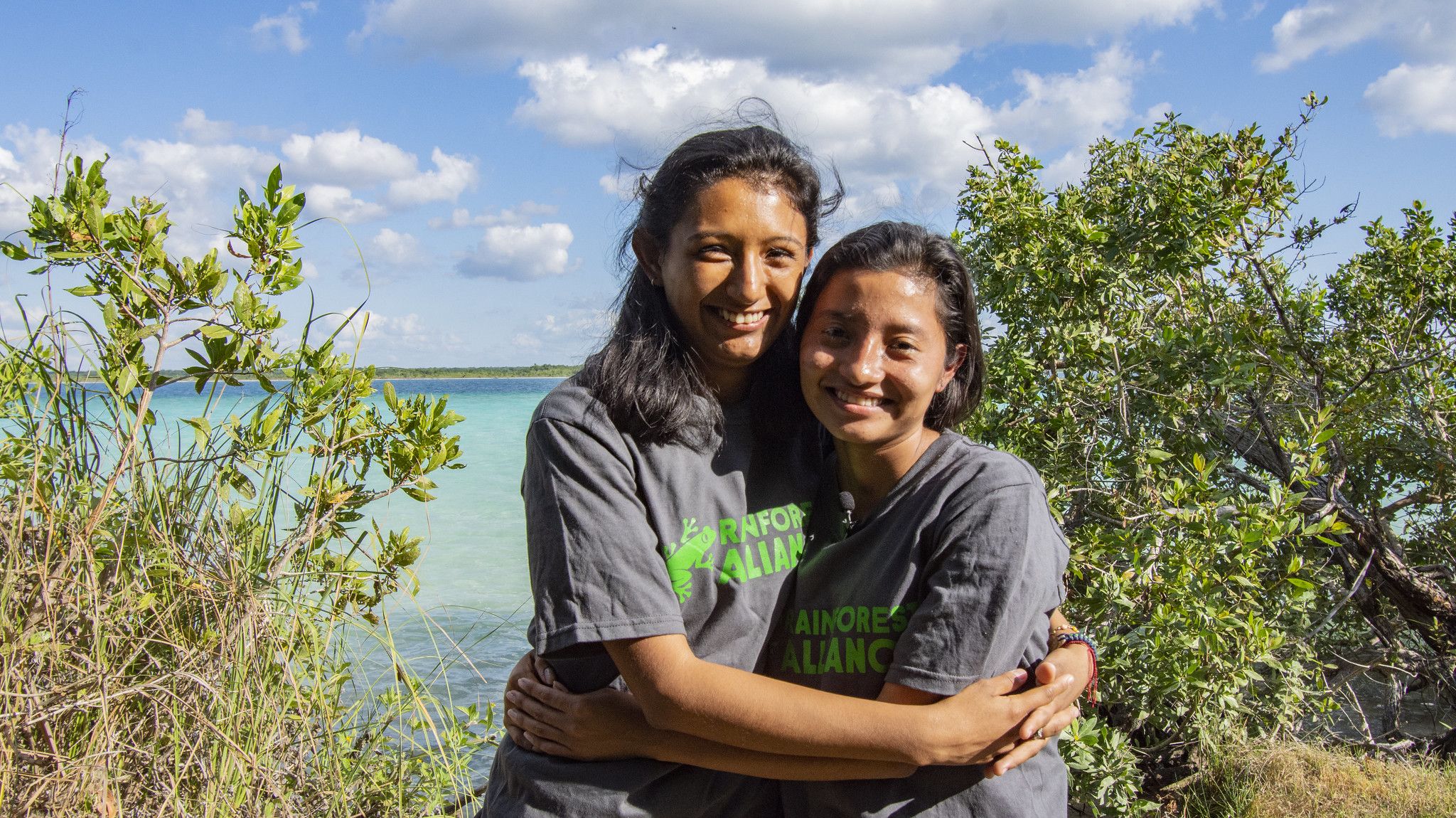 Easy Ways to Become an Environmental Volunteer | Rainforest Alliance
