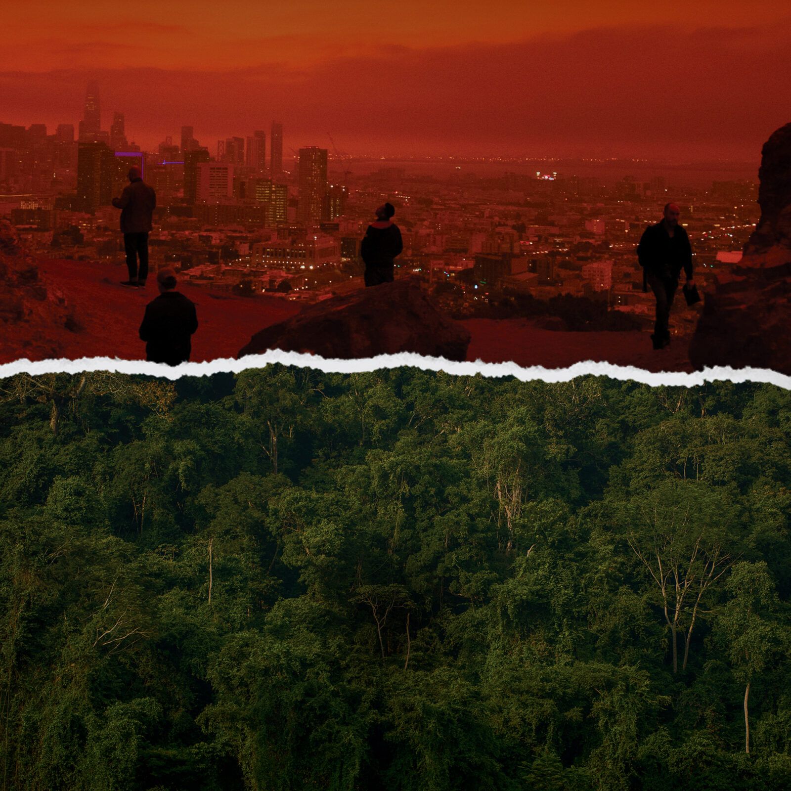 Variety | Rainforest Alliance