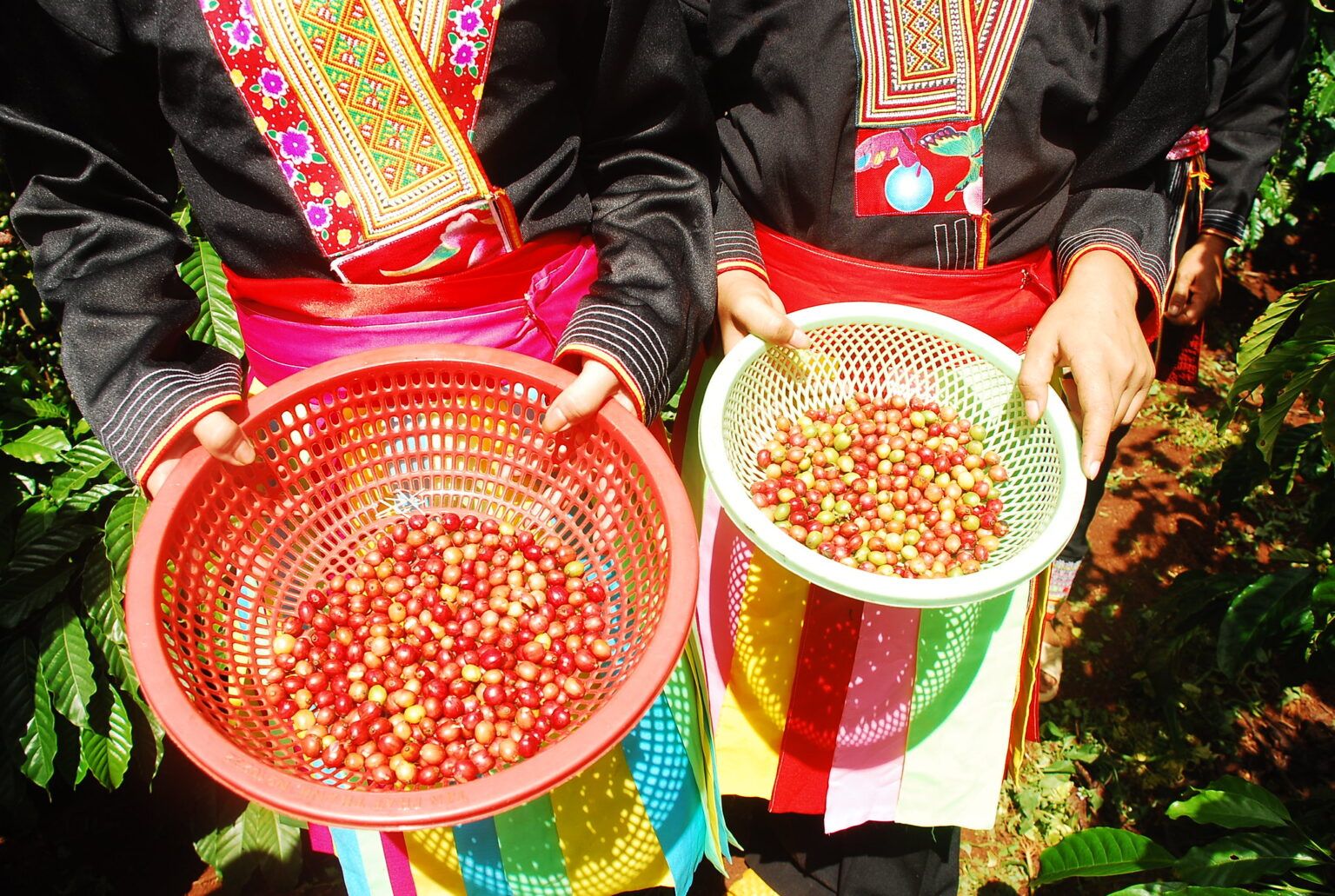 Rainforest Alliance | Creating a Better World for People and Nature