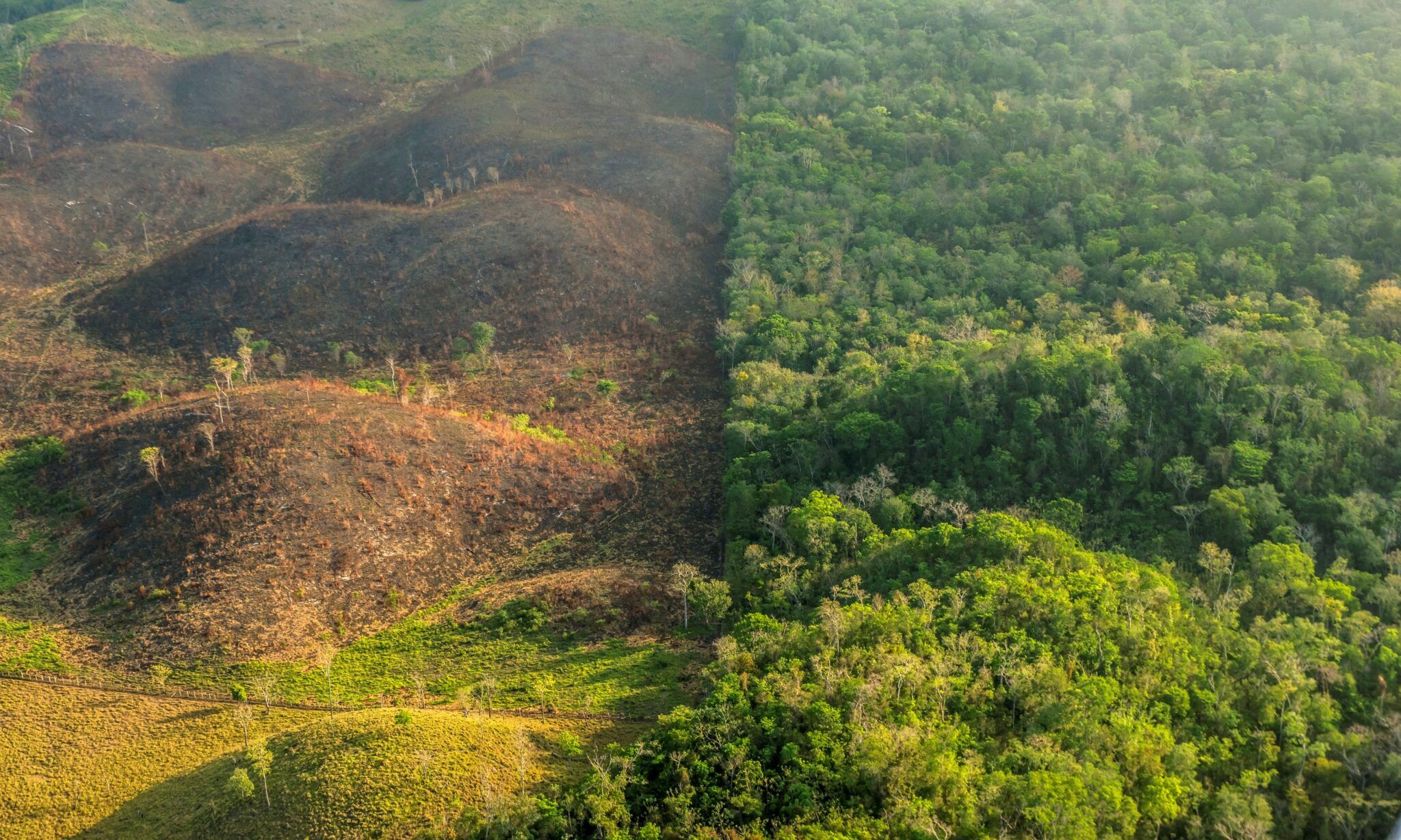 Rainforest Alliance Creating A Better World For People And Nature Rainforest Alliance Creating A Better World For People And Nature