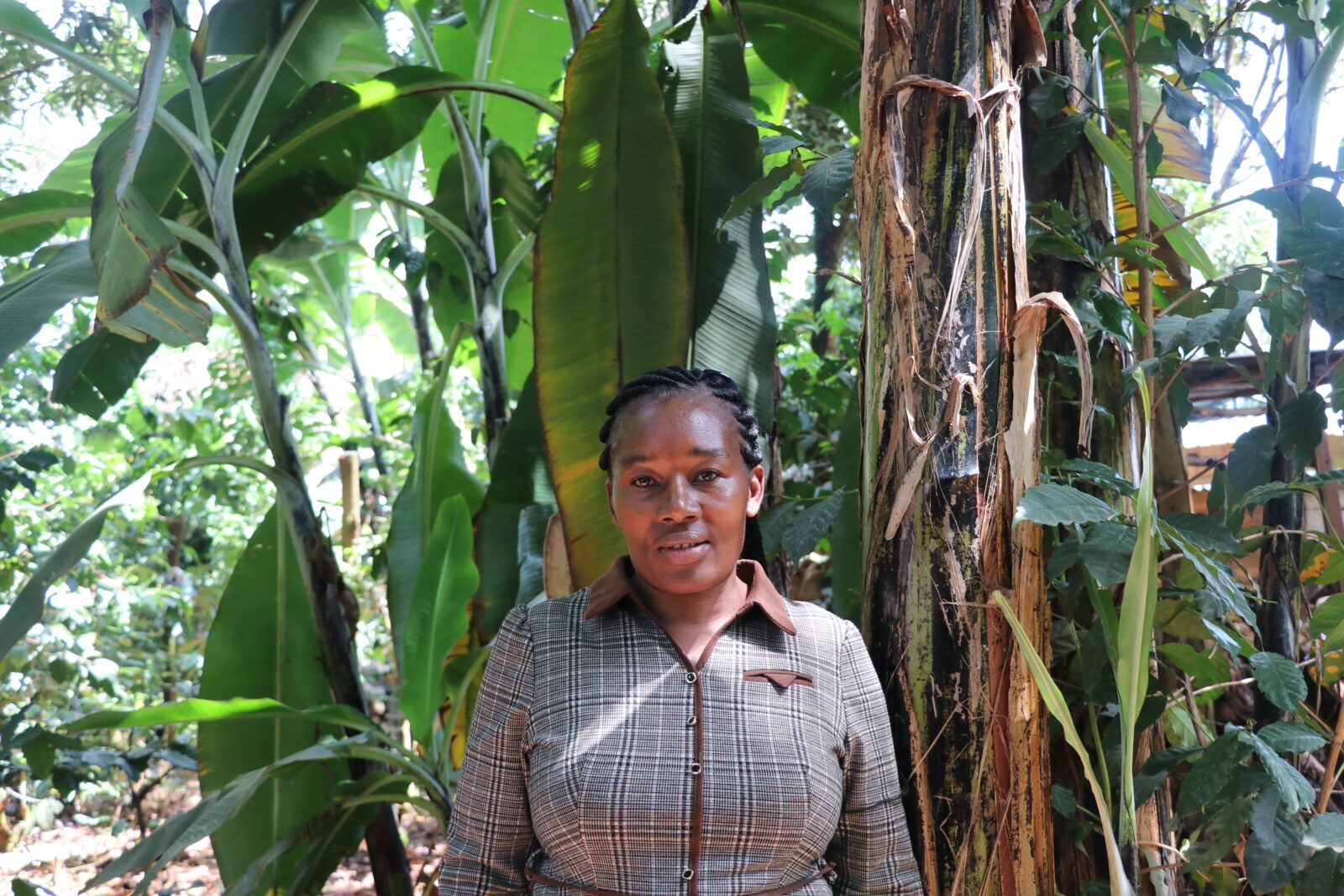 Two Farmers, One Regenerative Approach: Success Stories from Mount ...