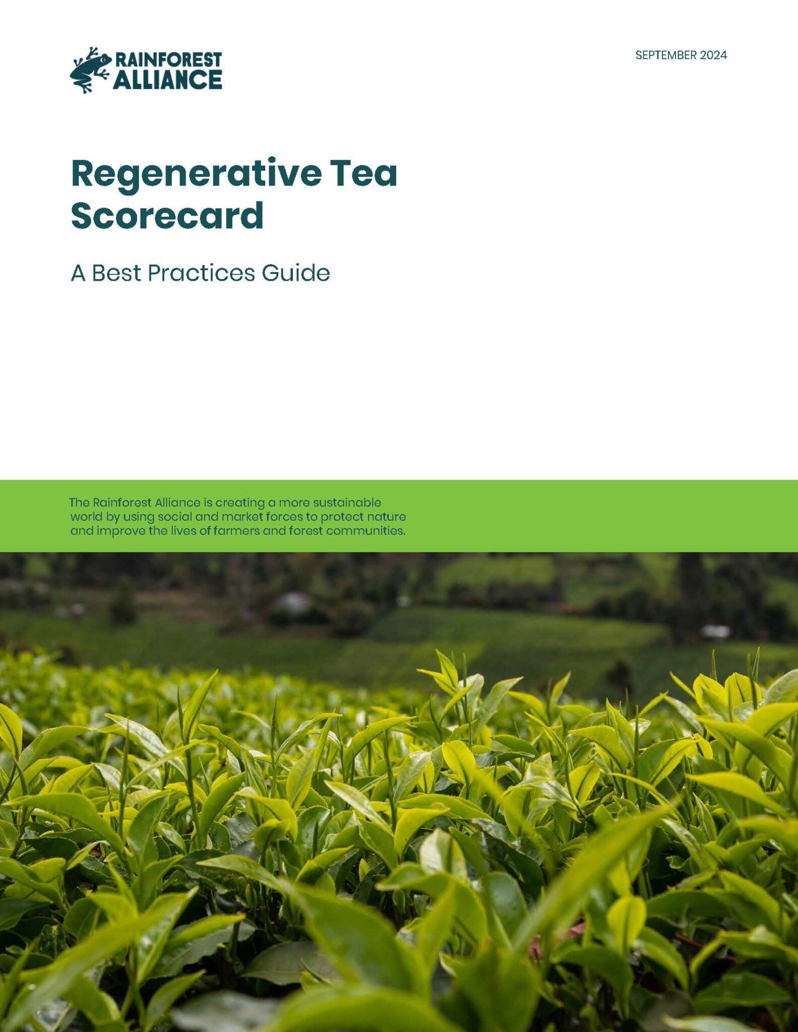 Learn | Rainforest Alliance