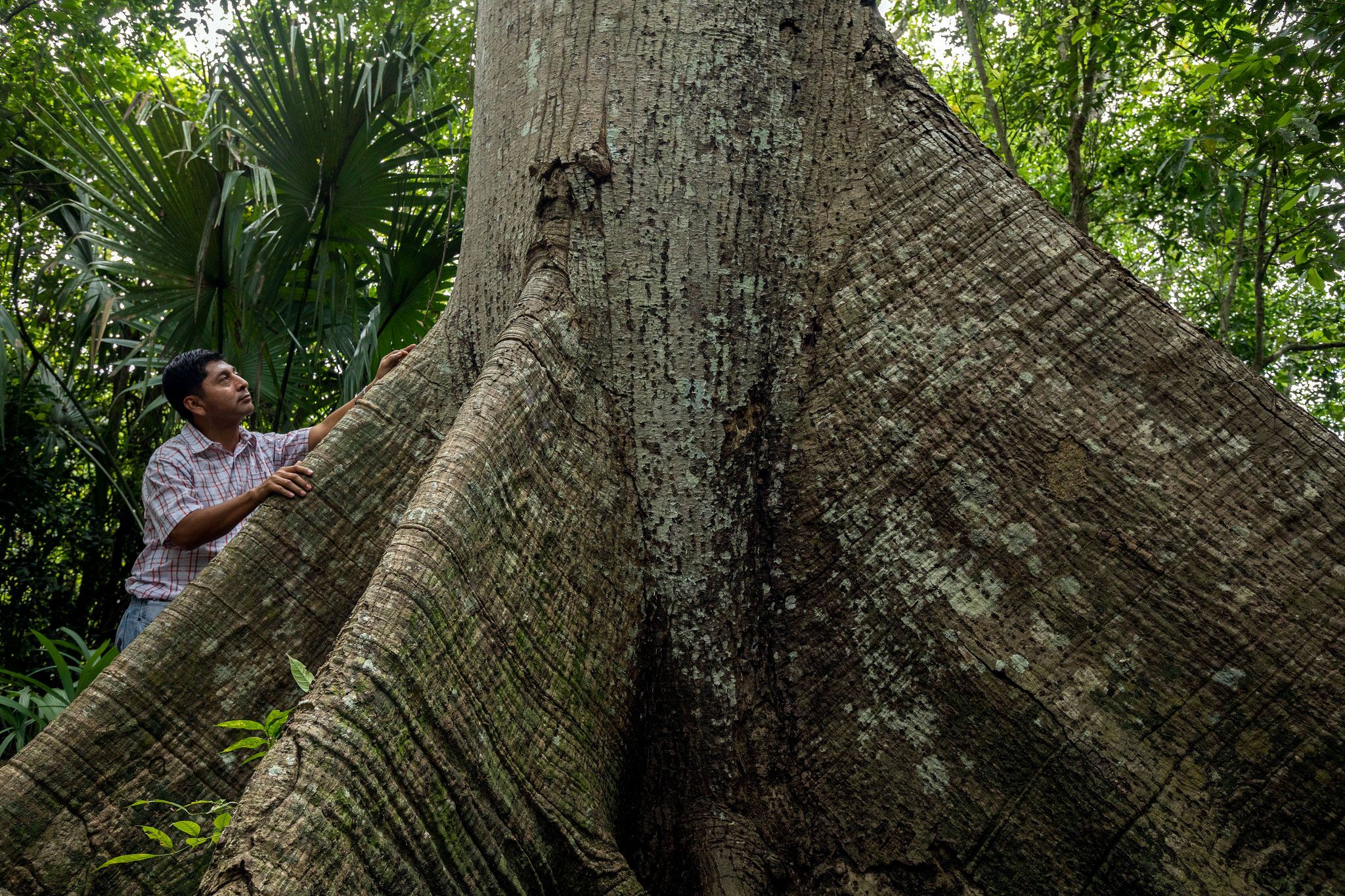 Everyday actions | Rainforest Alliance