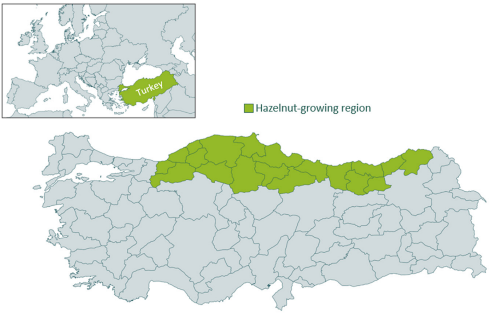 Rainforest Alliance Certified Hazelnuts | Rainforest Alliance