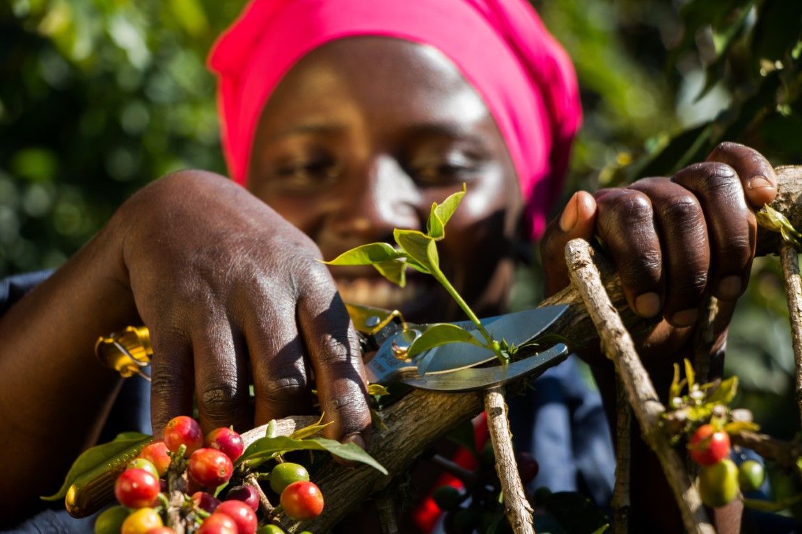 Uganda Archives | Rainforest Alliance