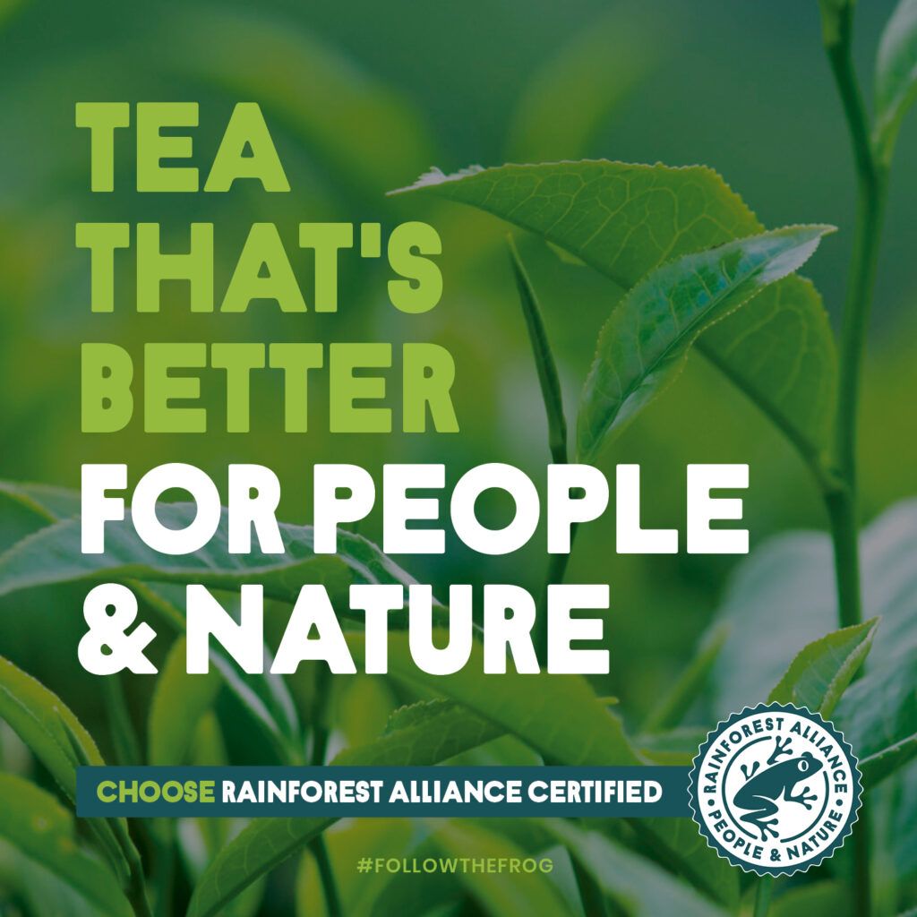 All Tea Resources | Rainforest Alliance