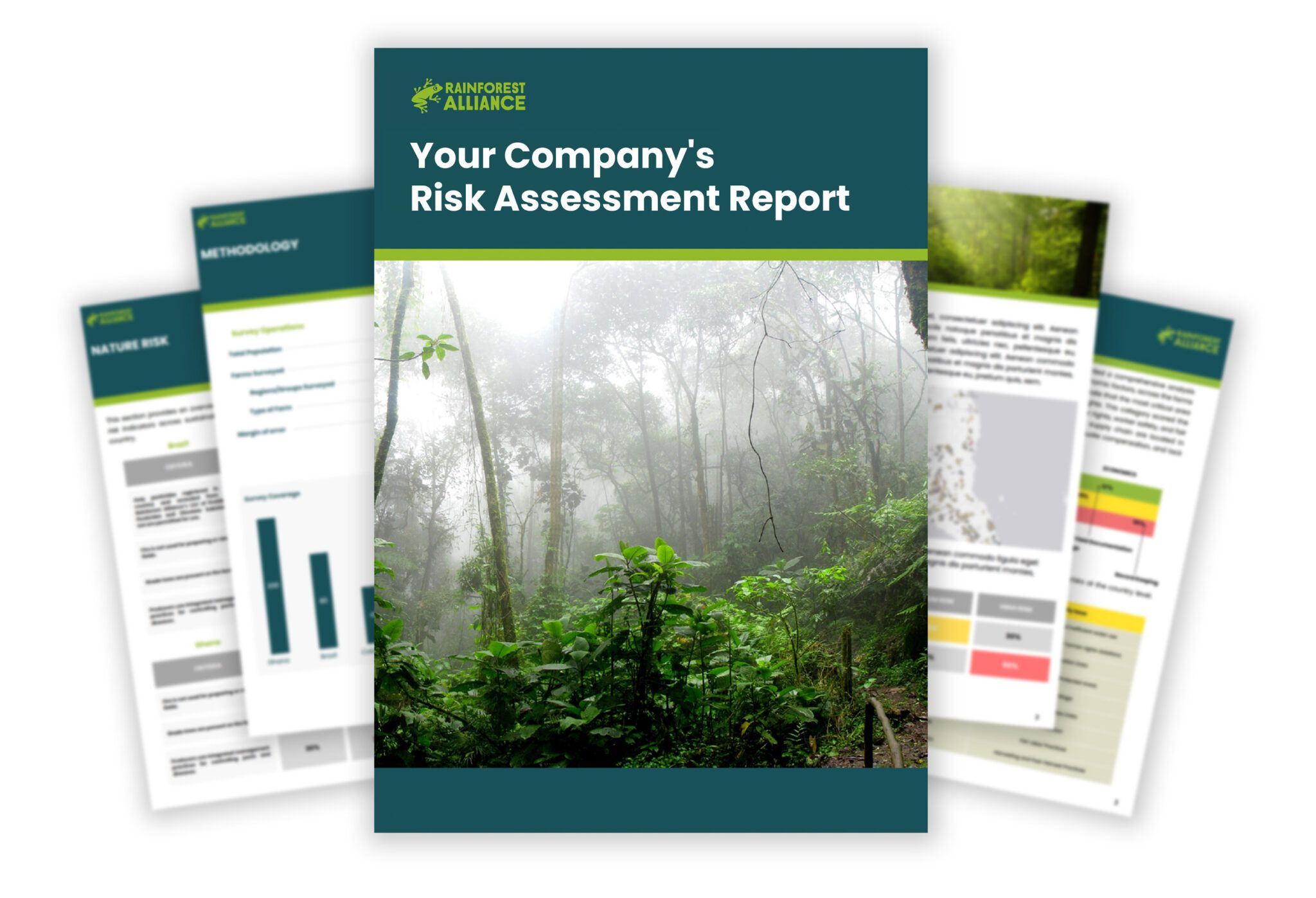 Sourcing Risk Assessment | Rainforest Alliance